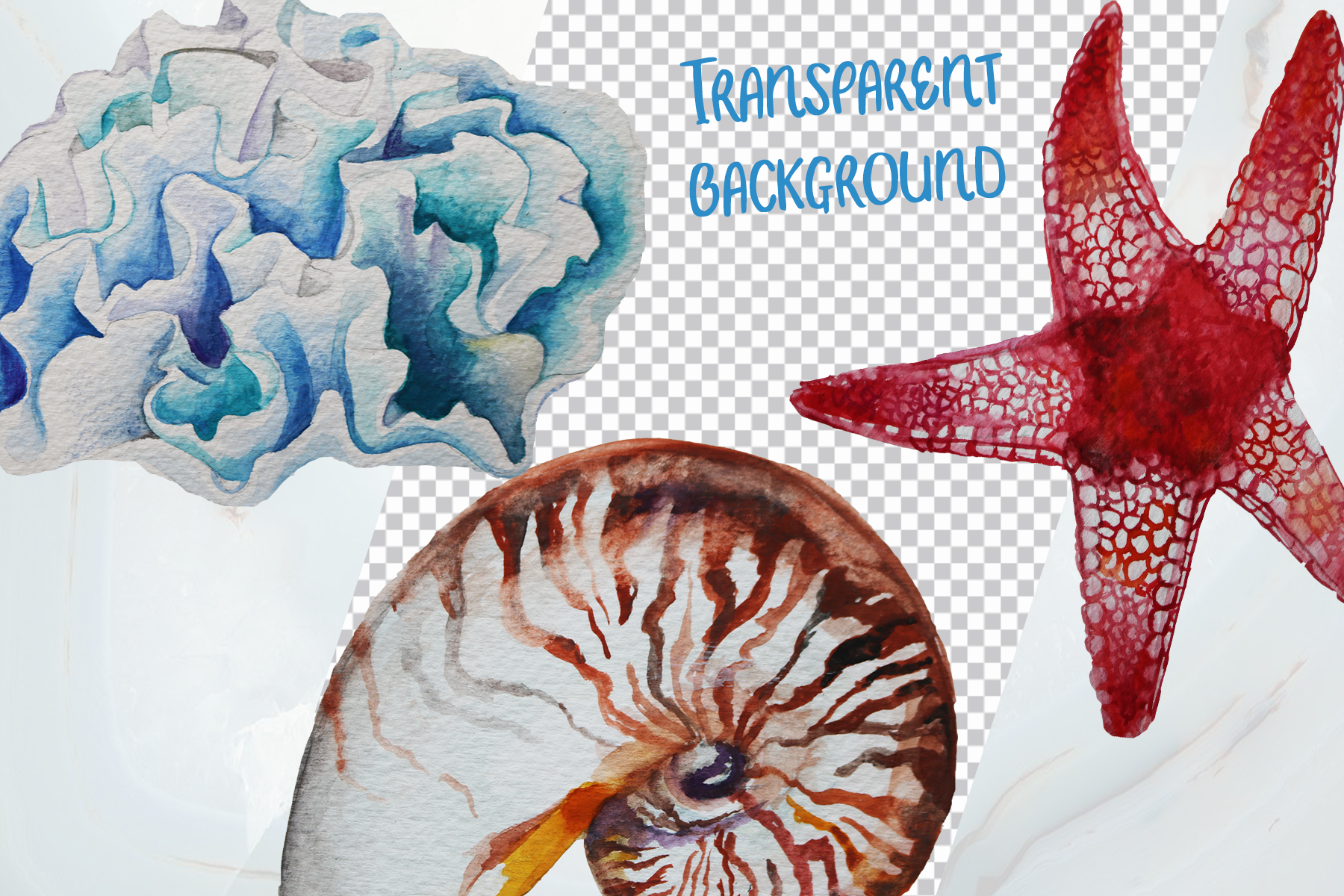 Tropical Sea Life Watercolor Clip Art (177578) | Illustrations | Design ...