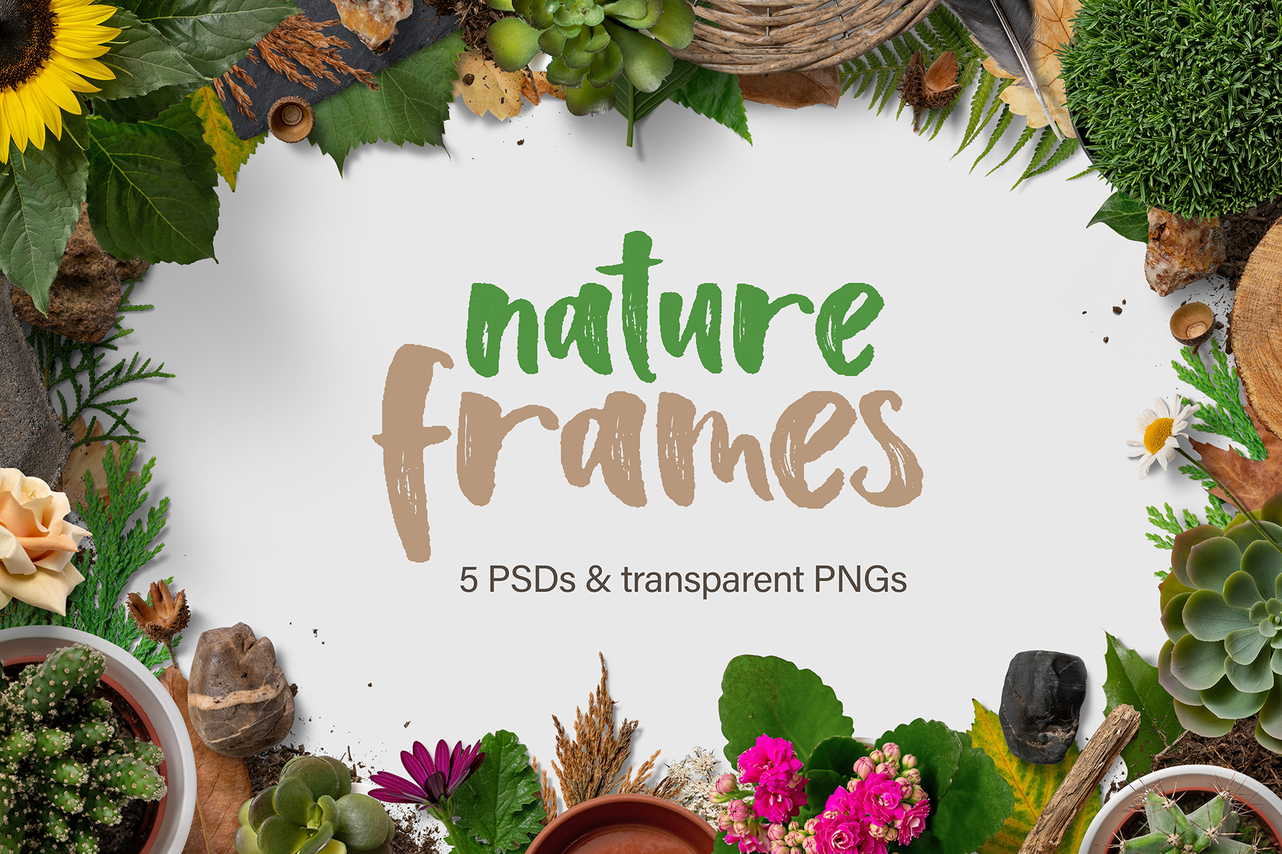 5 Nature Frames (194409) | Backgrounds | Design Bundles