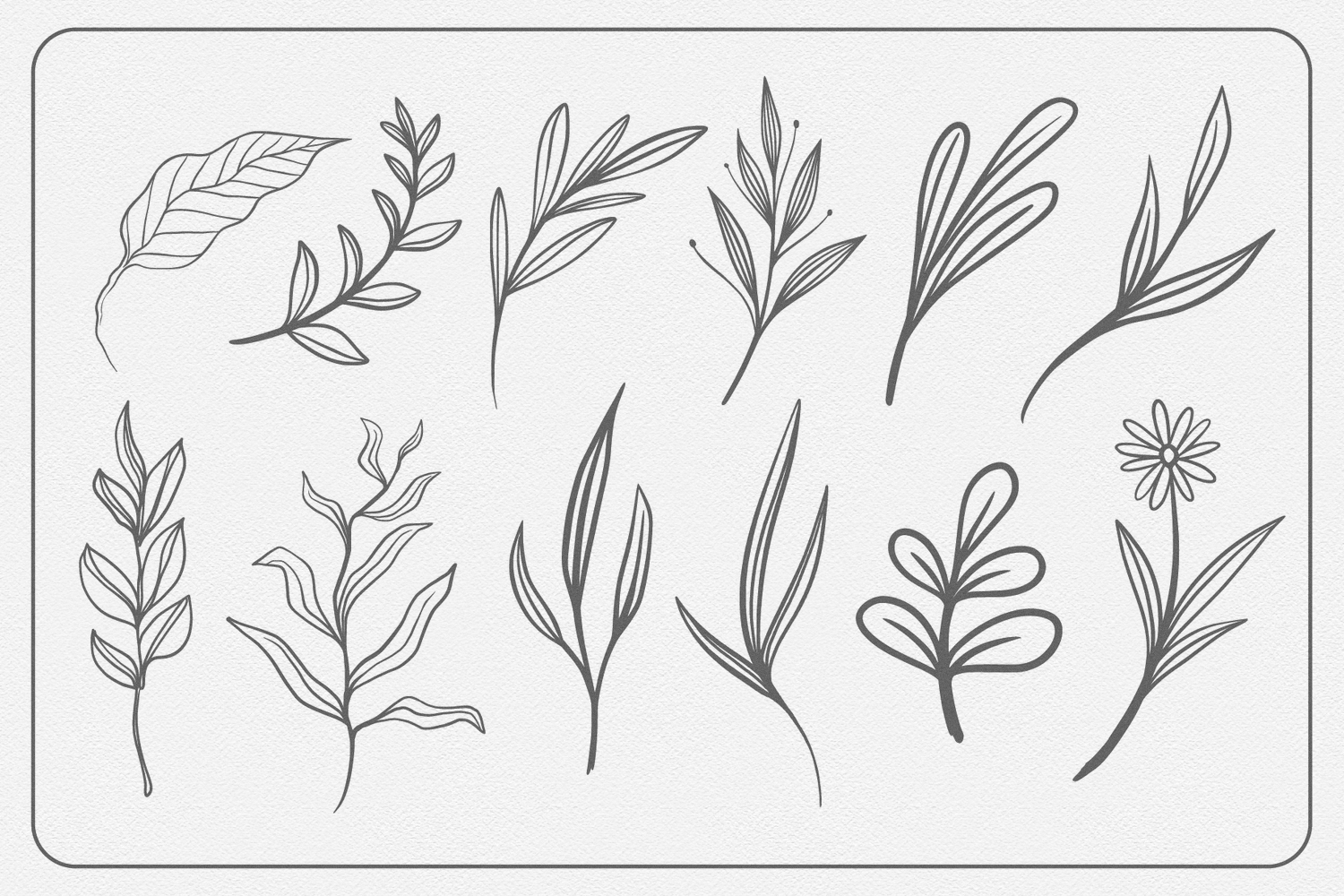 Line Art Botanical Vector Elements (488979) | Logos | Design Bundles