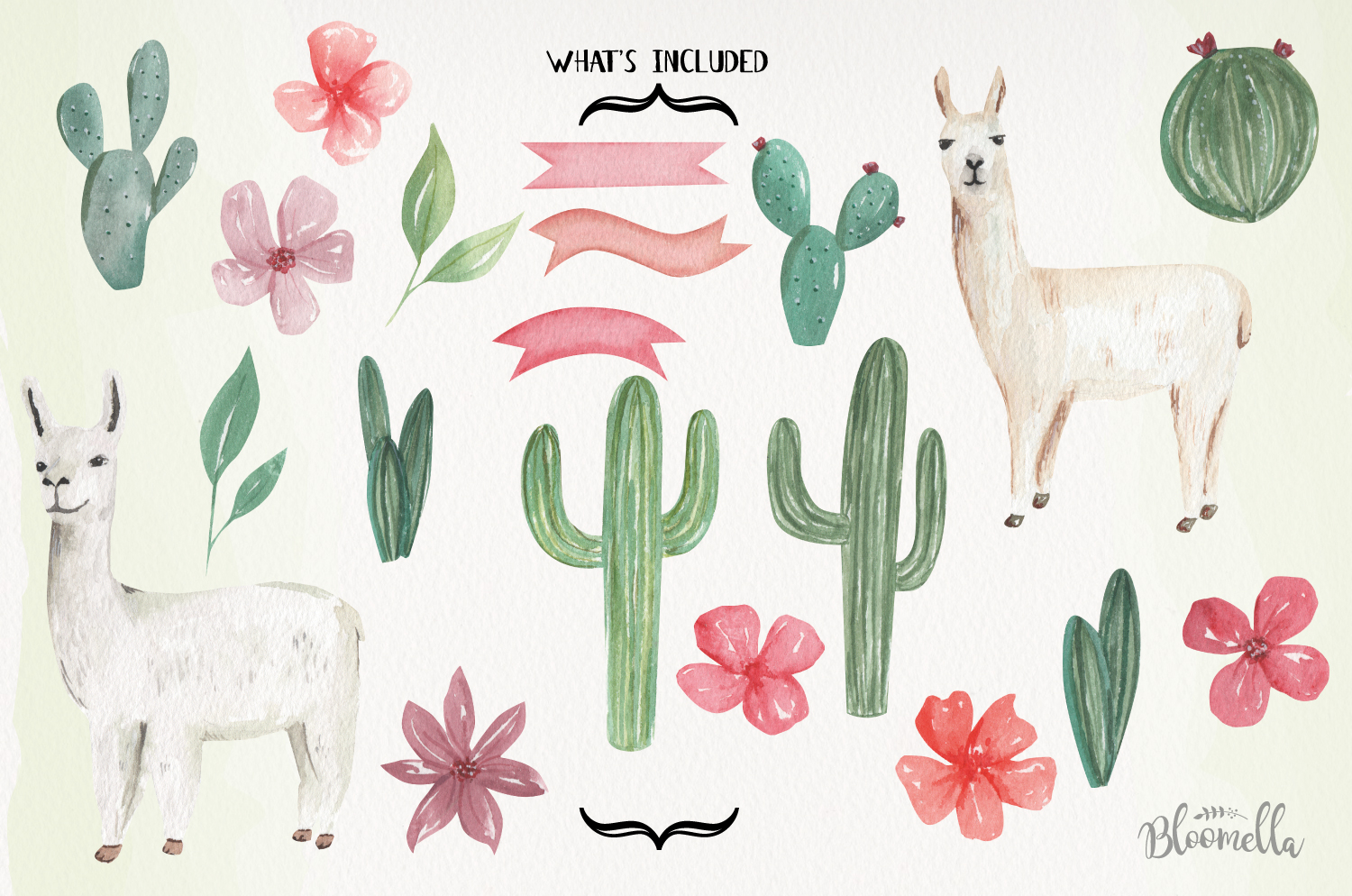 Watercolor Llama Drama 20 Elements Cactus Cacti Flowers