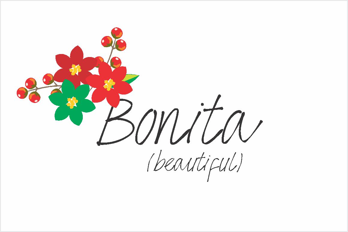 Bonita Font (686) | Script | Font Bundles