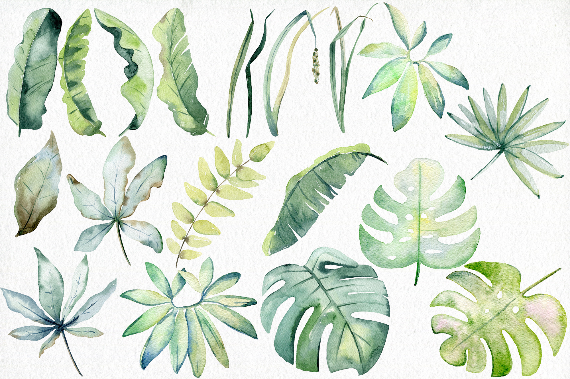 Tropical summer. Watercolor set.