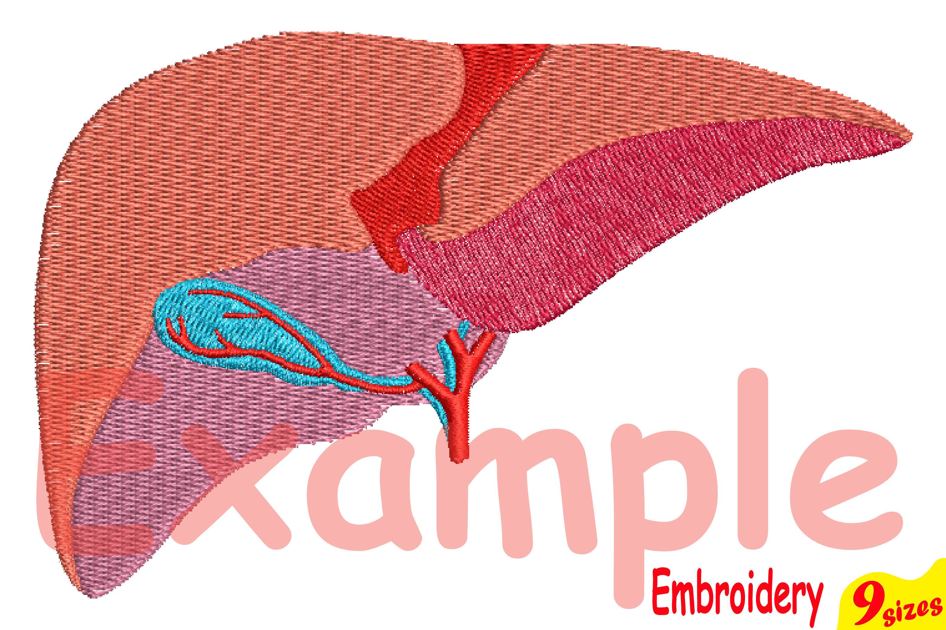 Organs Anatomy Embroidery Design Machine Instant Download Commercial ...