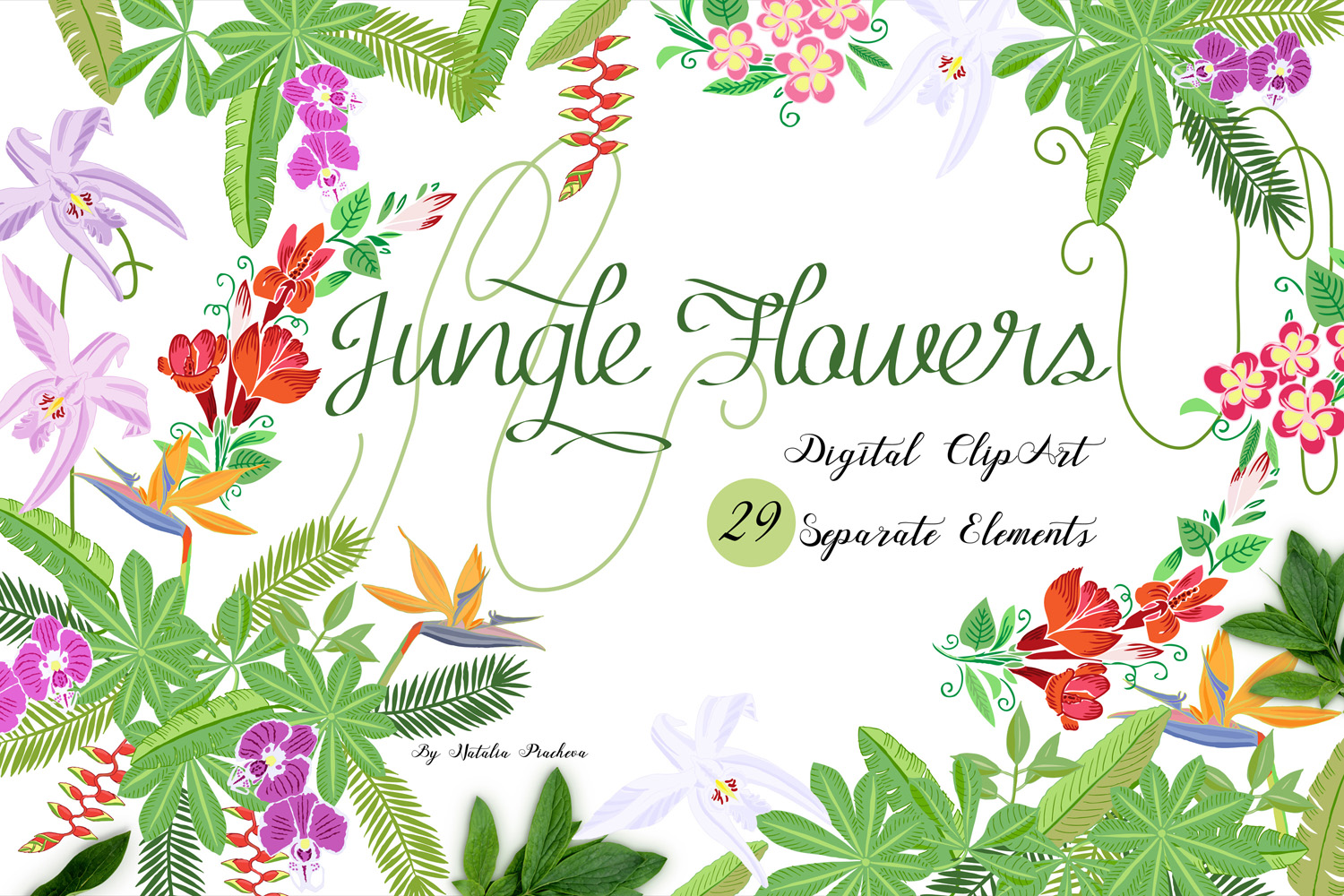 Jungle clipart with flowers (244025) | Illustrations | Design Bundles
