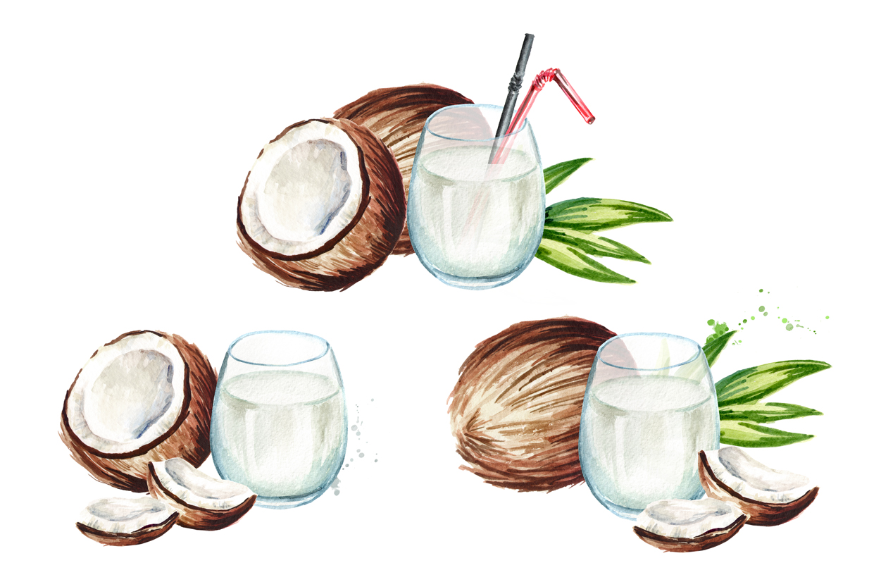 Coconut. Watercolor collection (132735) | Illustrations | Design Bundles