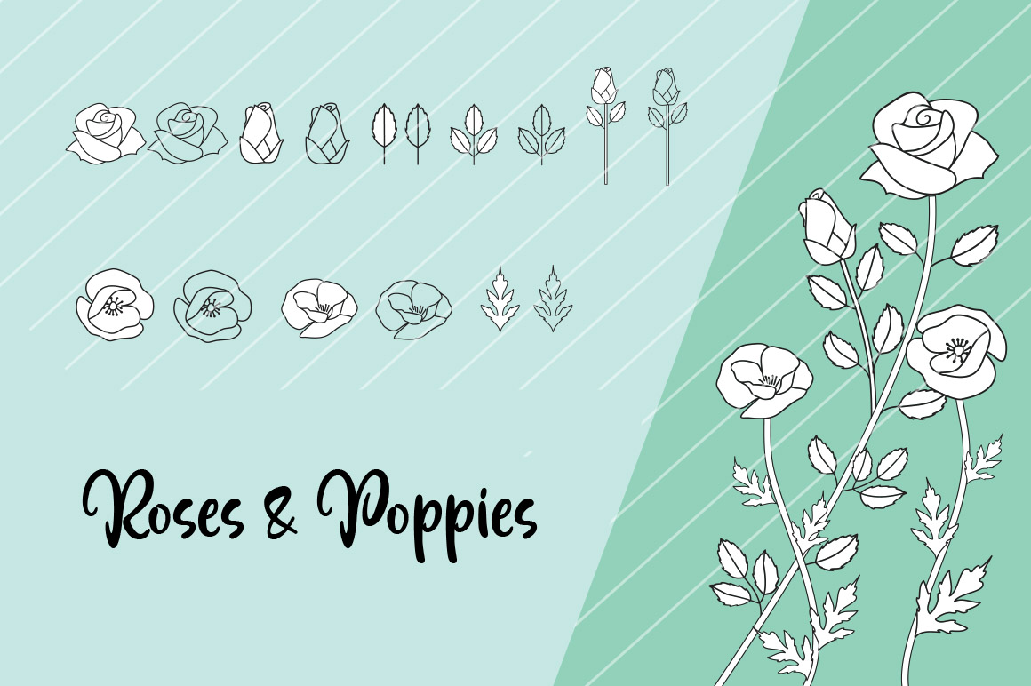 Floral Brushes|for Illustrator