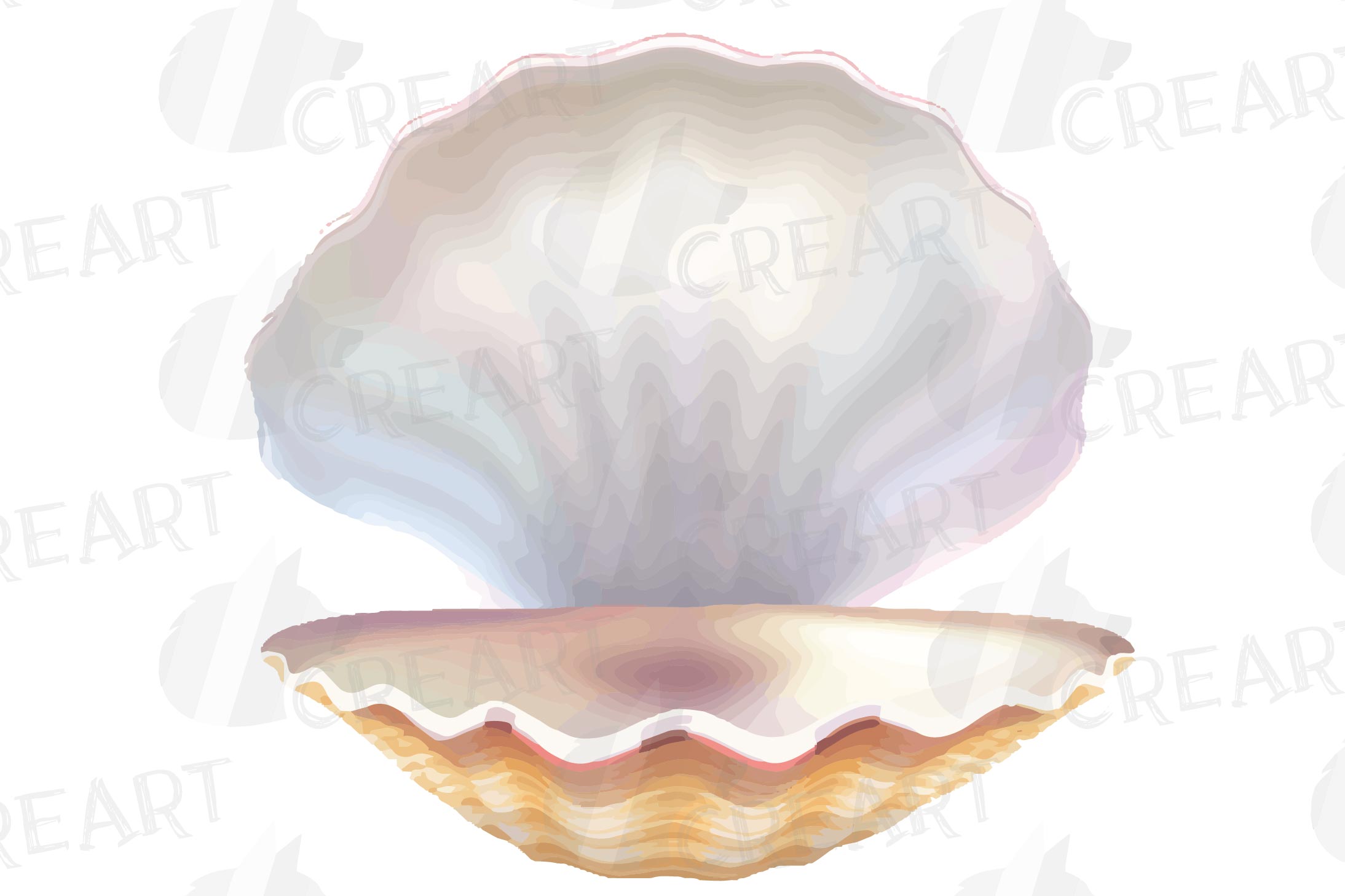 Watercolor clam shell and pearls design elements clip art. (516283 ...