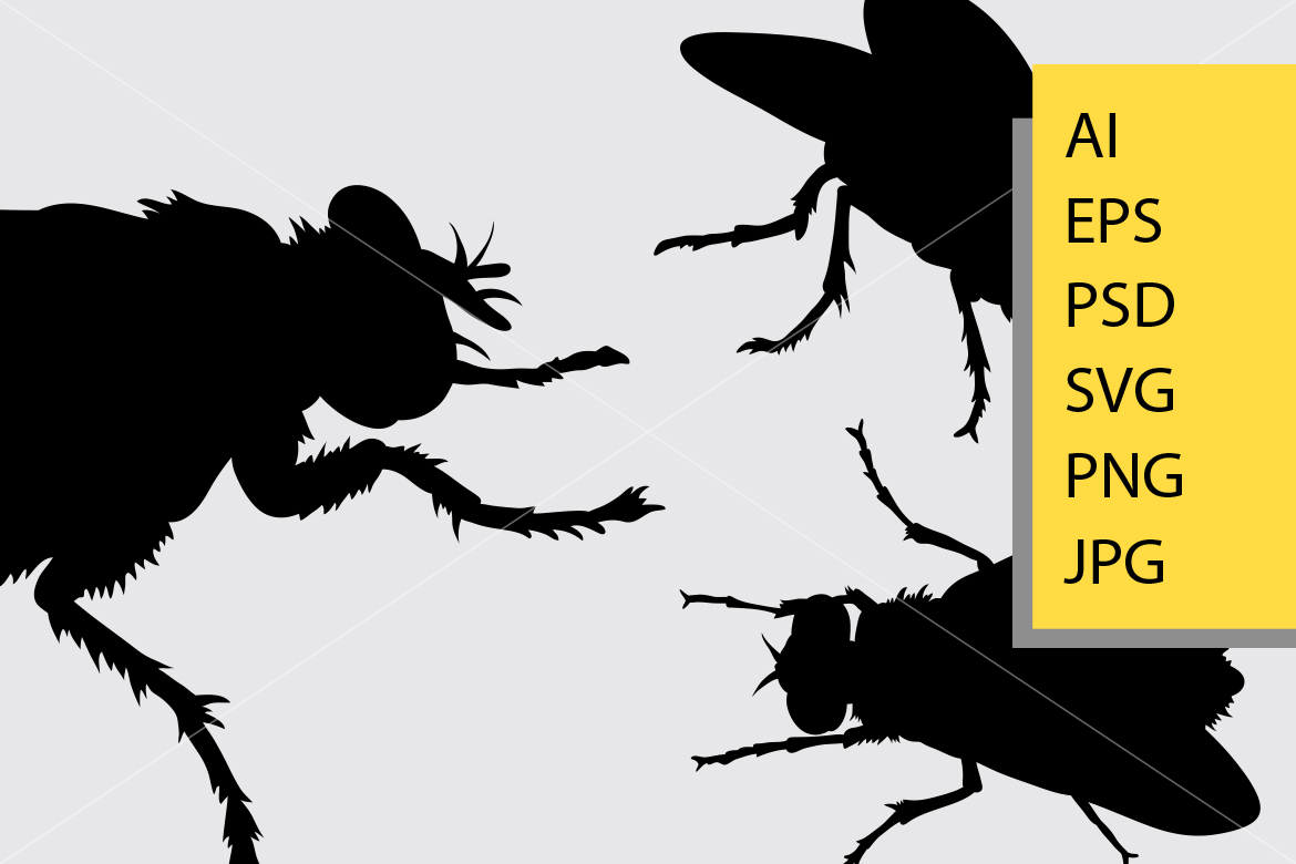 Fly insect silhouette