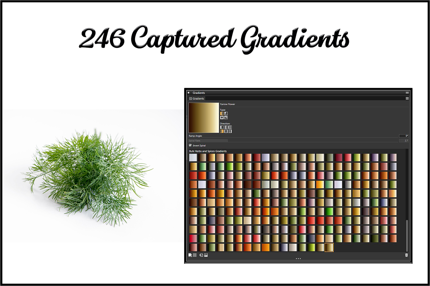 Corel Painter Herbs and Spices Gradient Library