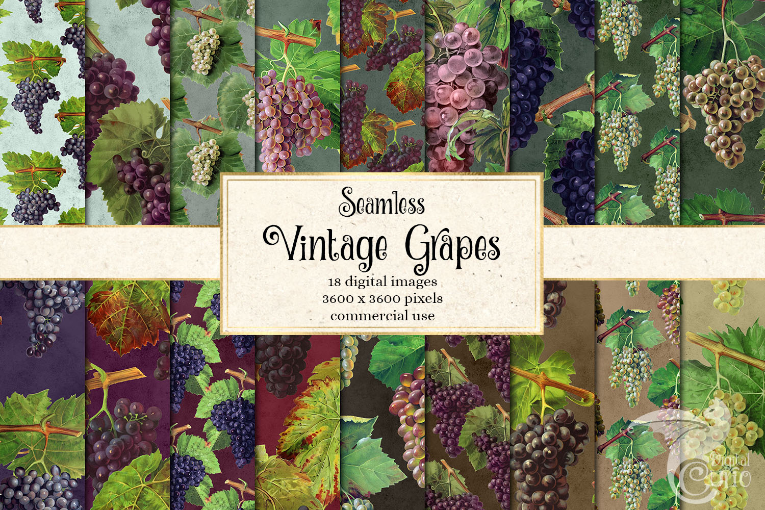 Vintage Grapes Digital Paper