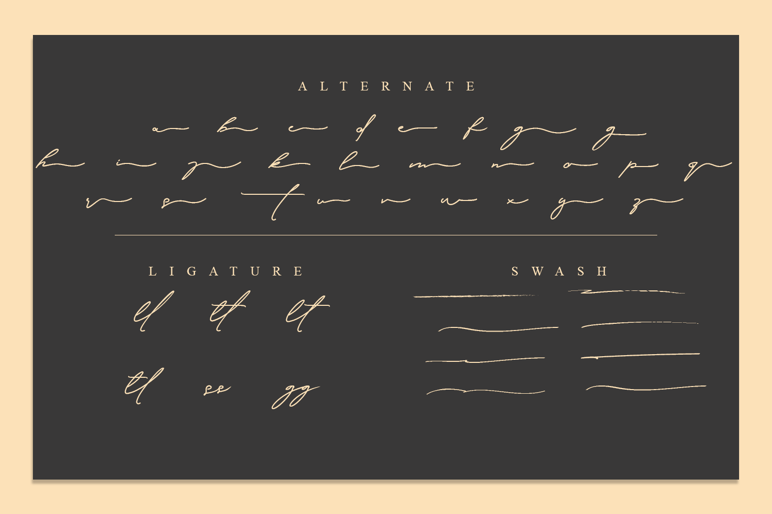Signature Collection - Script Font