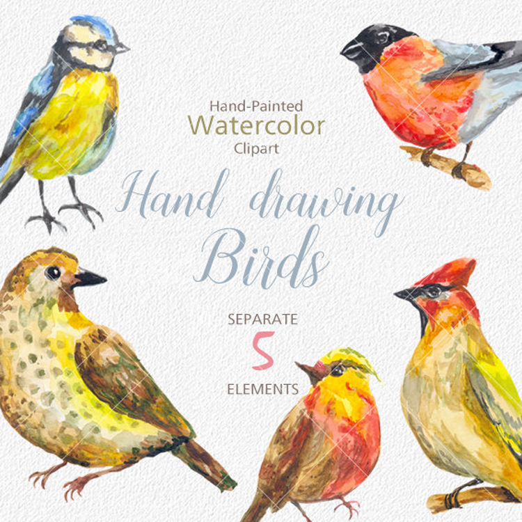 Digital Watercolor Birds Clip Art (305500) | Illustrations | Design Bundles