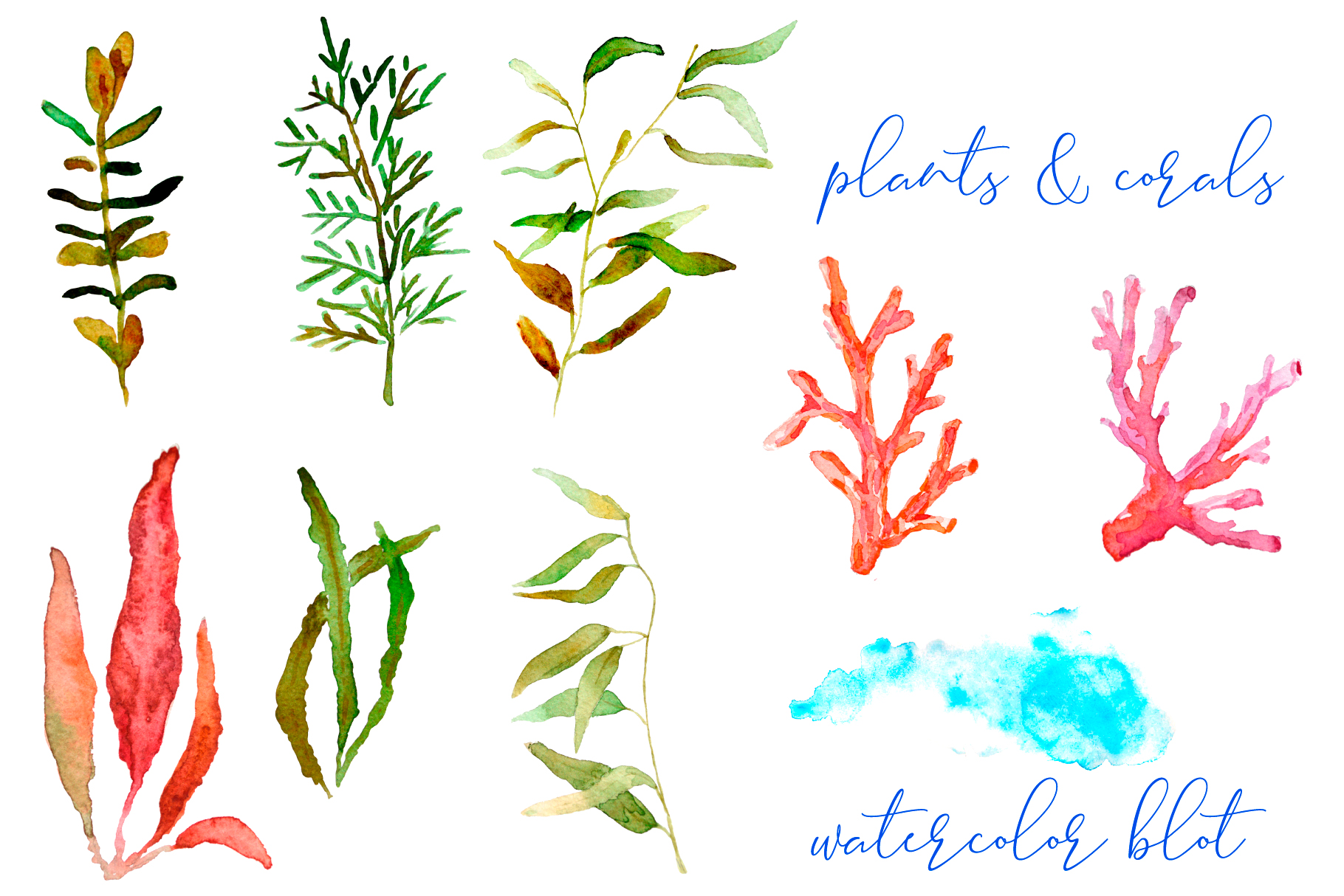 Under the sea. Watercolor art (186793) | Illustrations | Design Bundles