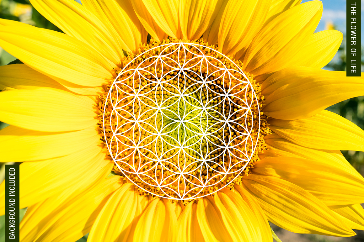 100 Sacred Geometry Symbols