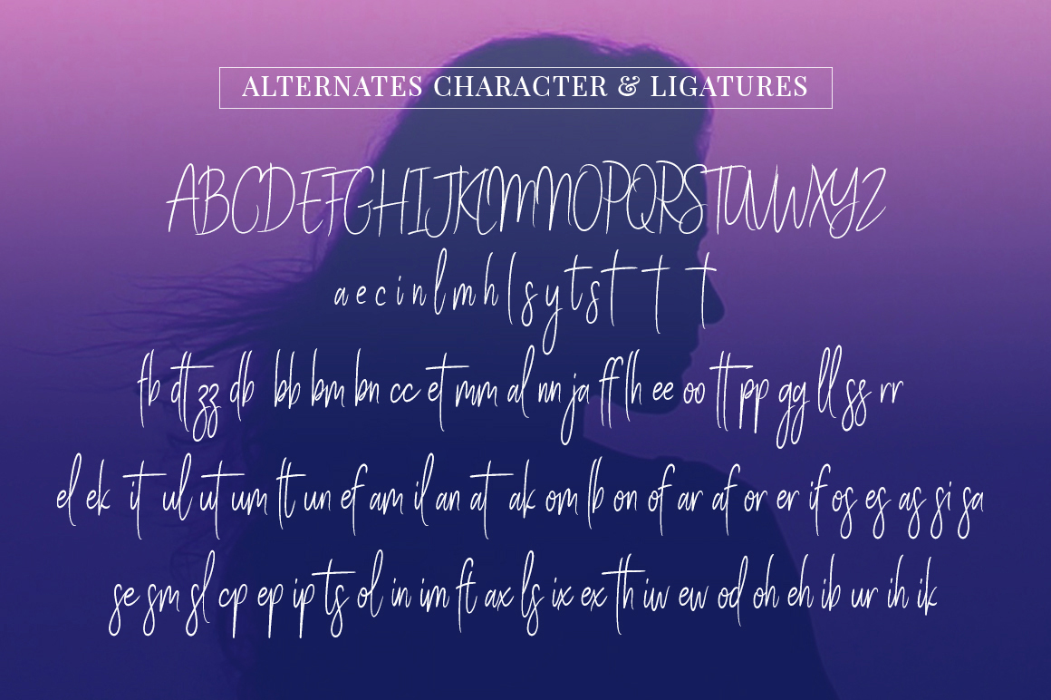 Stay Classy - Font Family (58155) | Handwritten | Font Bundles