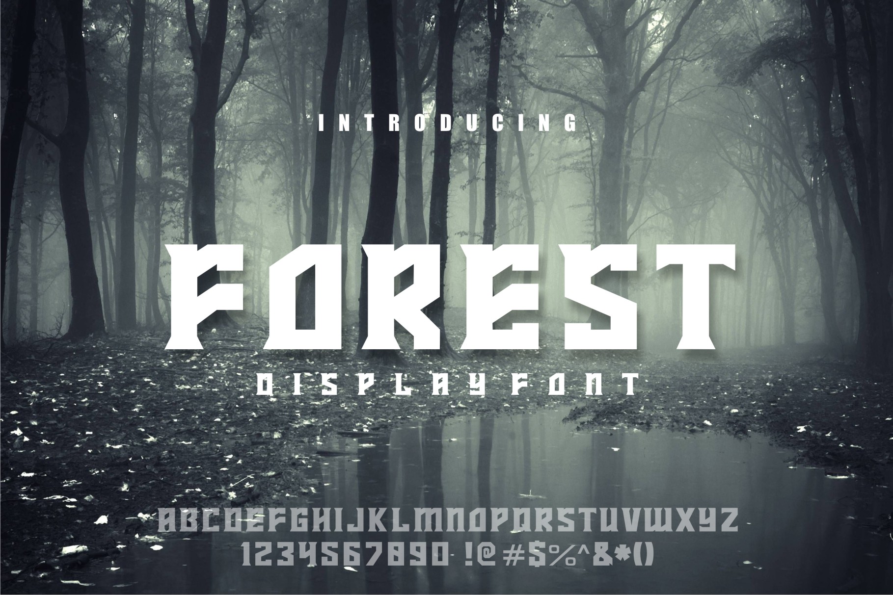 FOREST display font