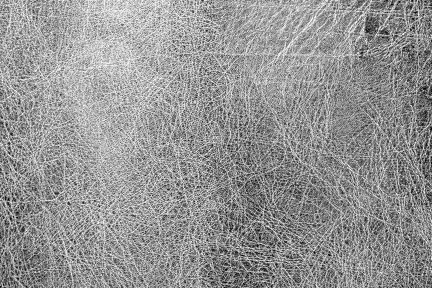 Leather Transparent Textures