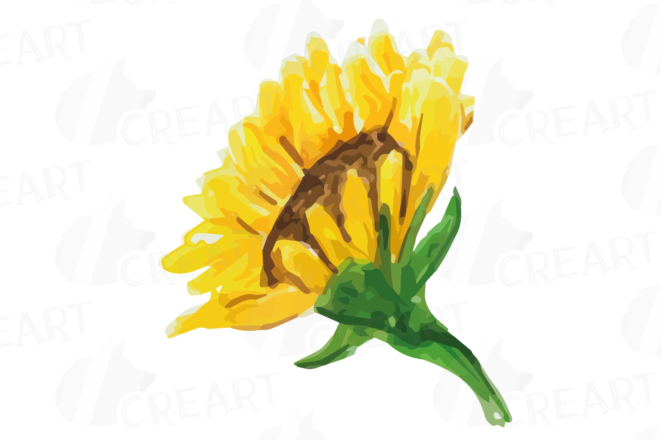 Sunflowers watercolor clip art pack 2, watercolor sunflower