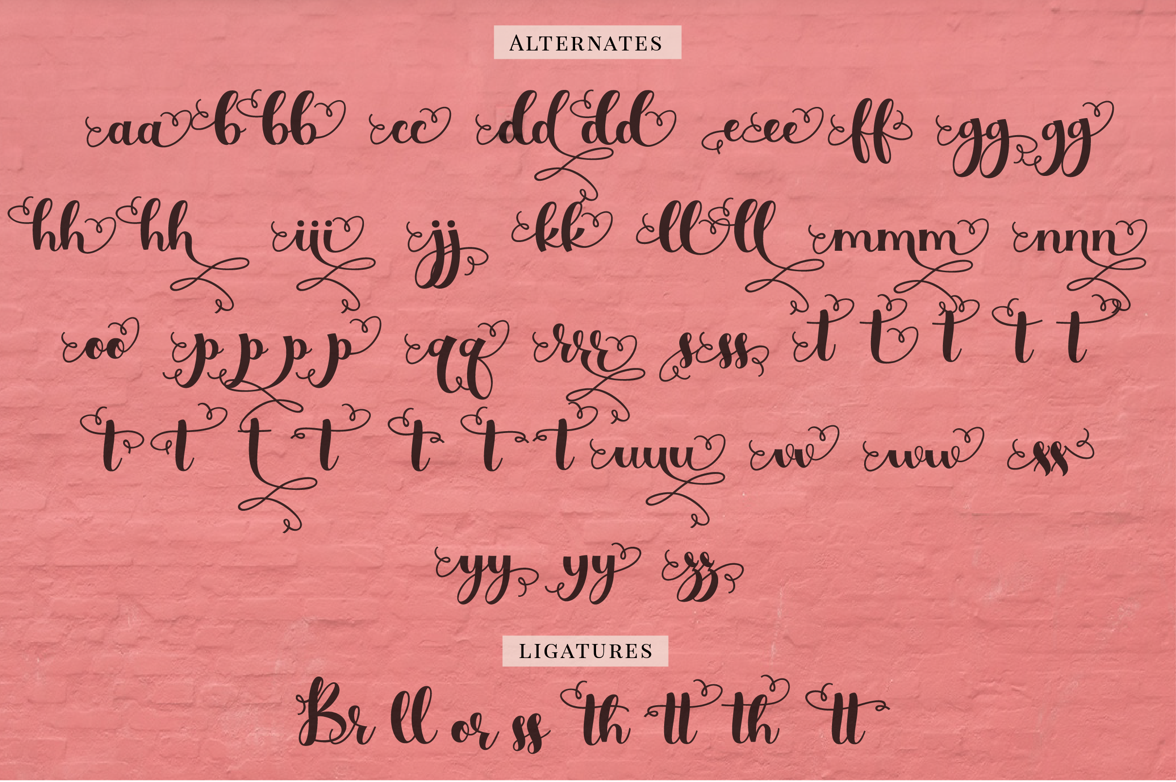 Simply Styled A Flourished Ornamental Script Font 211225 Script 