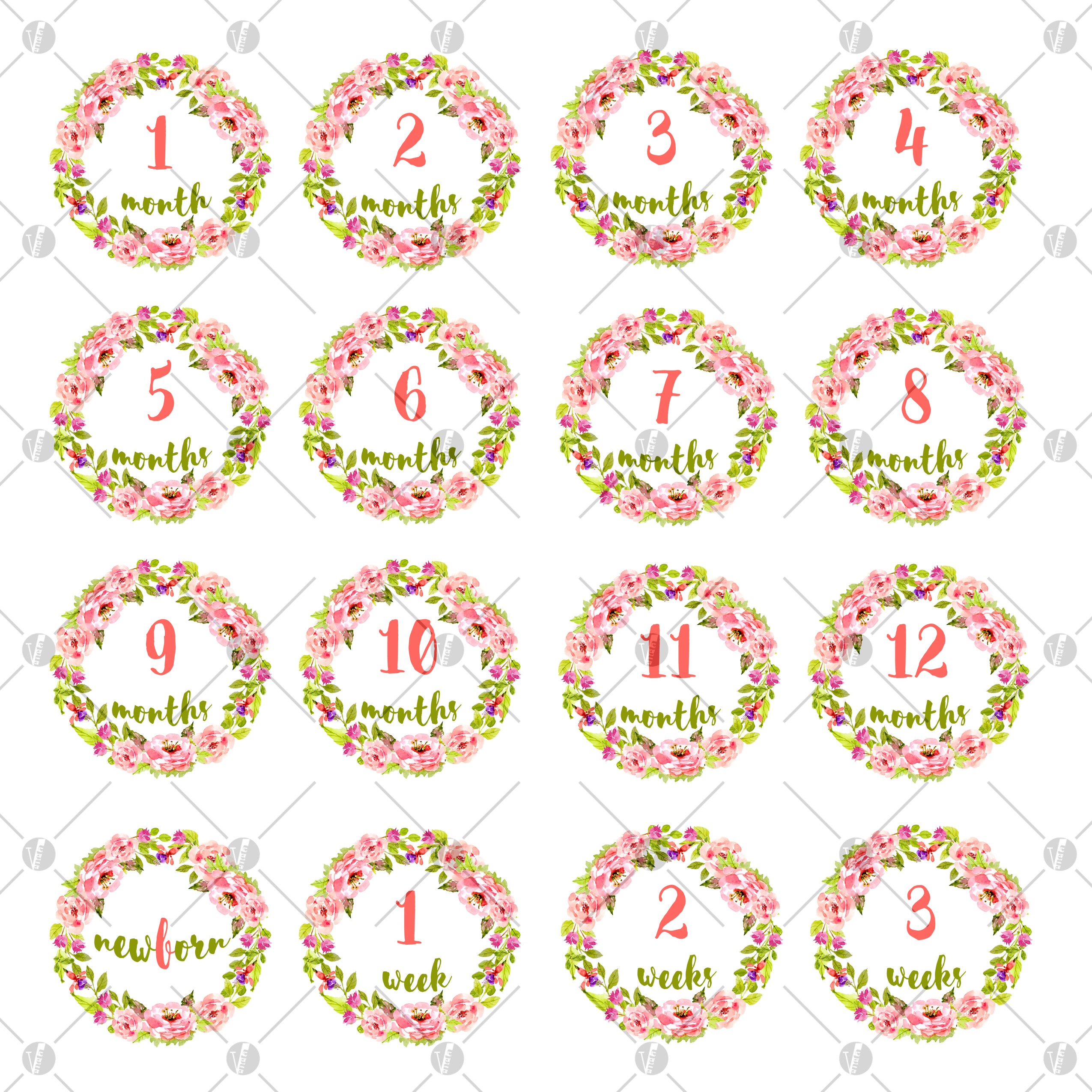Baby stickers pack - Monthly Labels, Birth Milestones