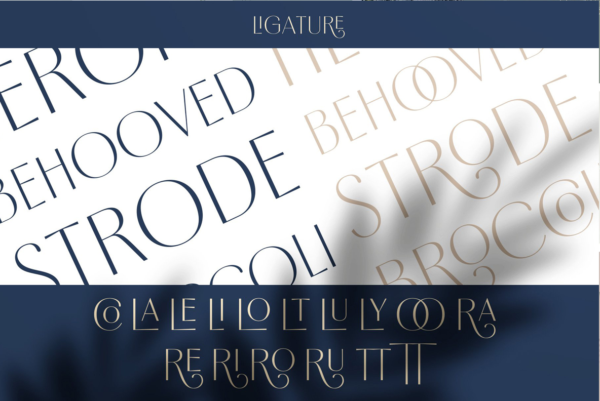 Borest - Elegant Roman Sans Serif (364441) | Regular | Font Bundles