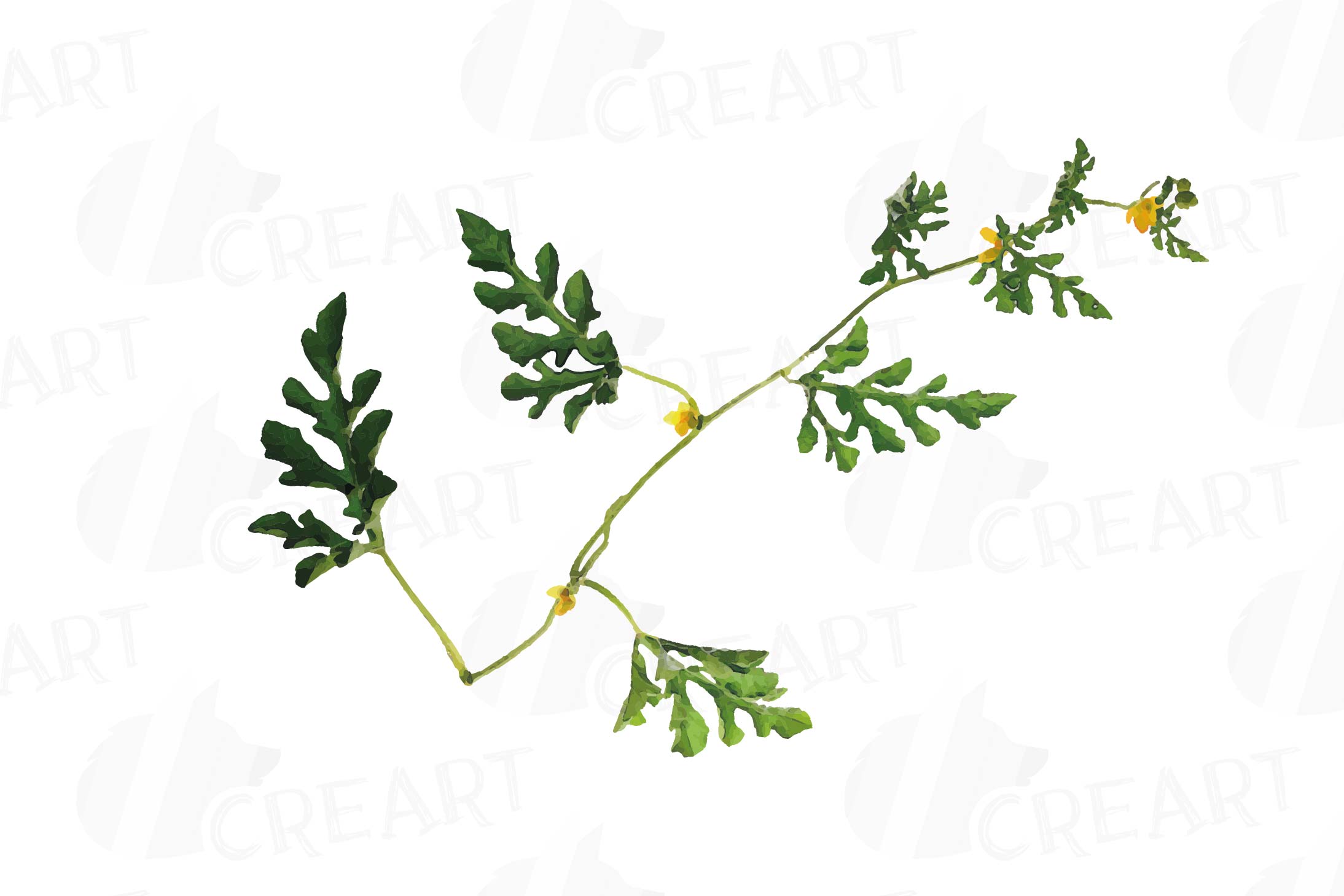 Watercolor watermelon clip art pack, watermelon plant&flower (112802 ...