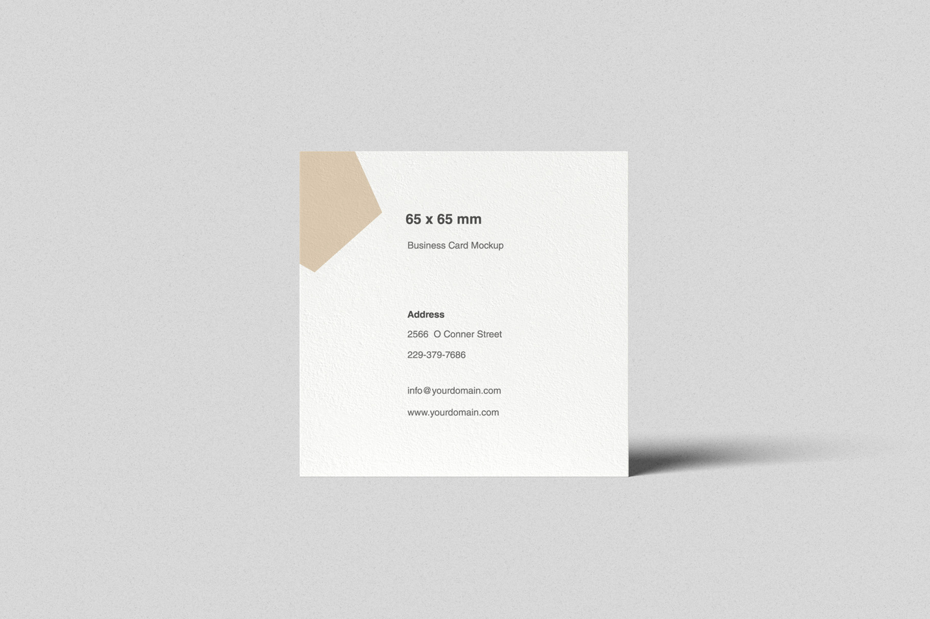 Business Card Mockup Kit