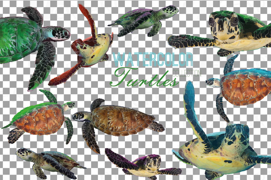 Watercolor sea turtles clip art pack, colorful turtles