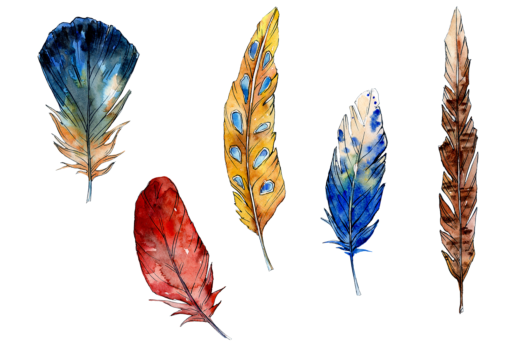 Magic feather Dream watercolor png (280281) | Illustrations | Design ...