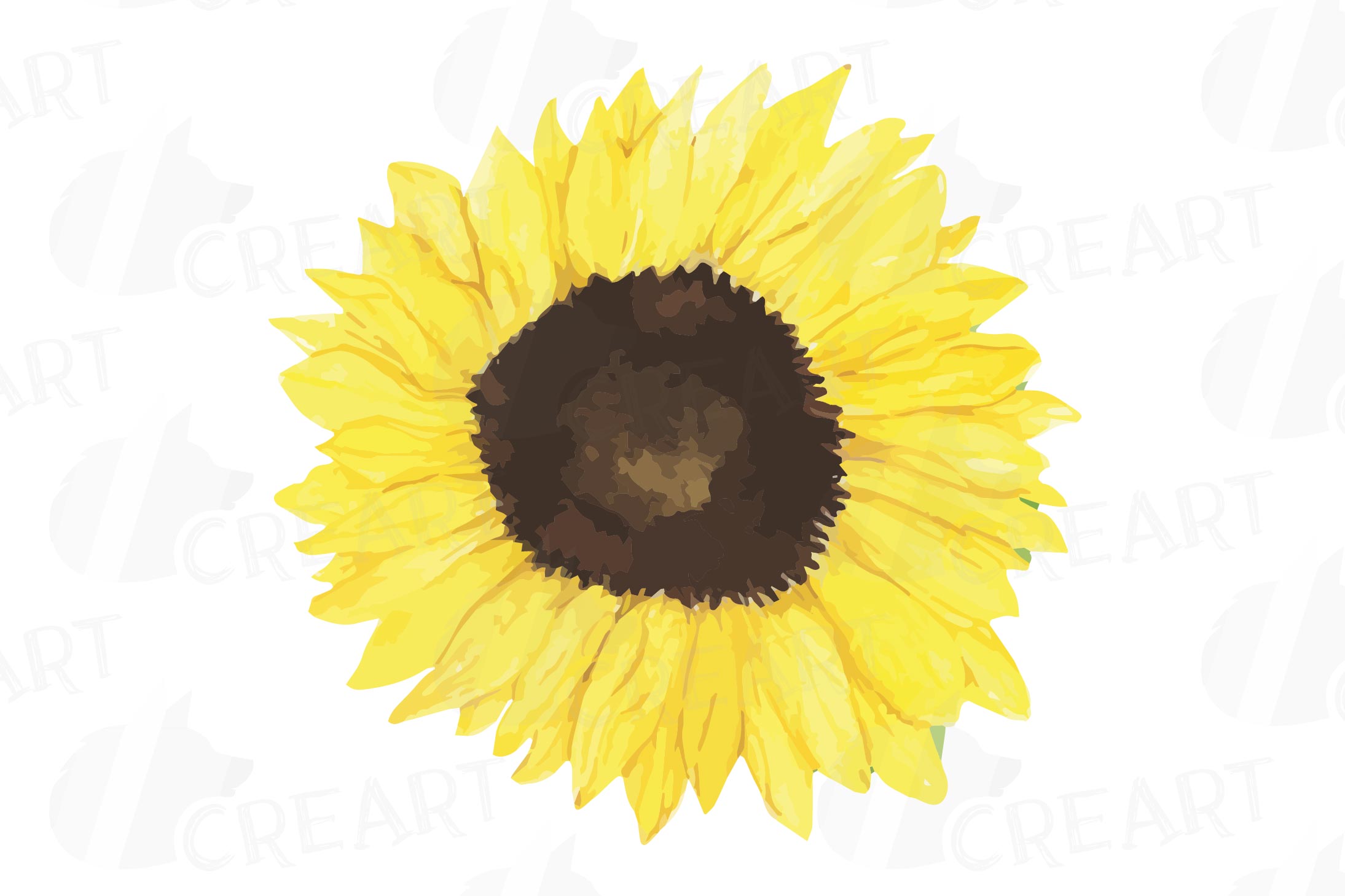 Sunflowers watercolor clip art pack 2, watercolor sunflower
