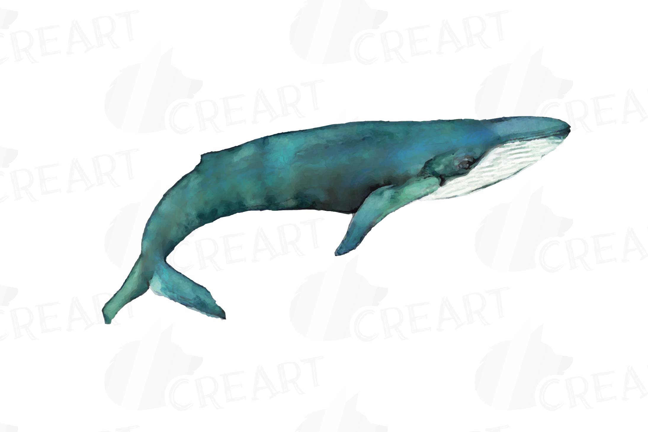 Watercolor blue whale clip art pack, colorful blue whales (217779 ...