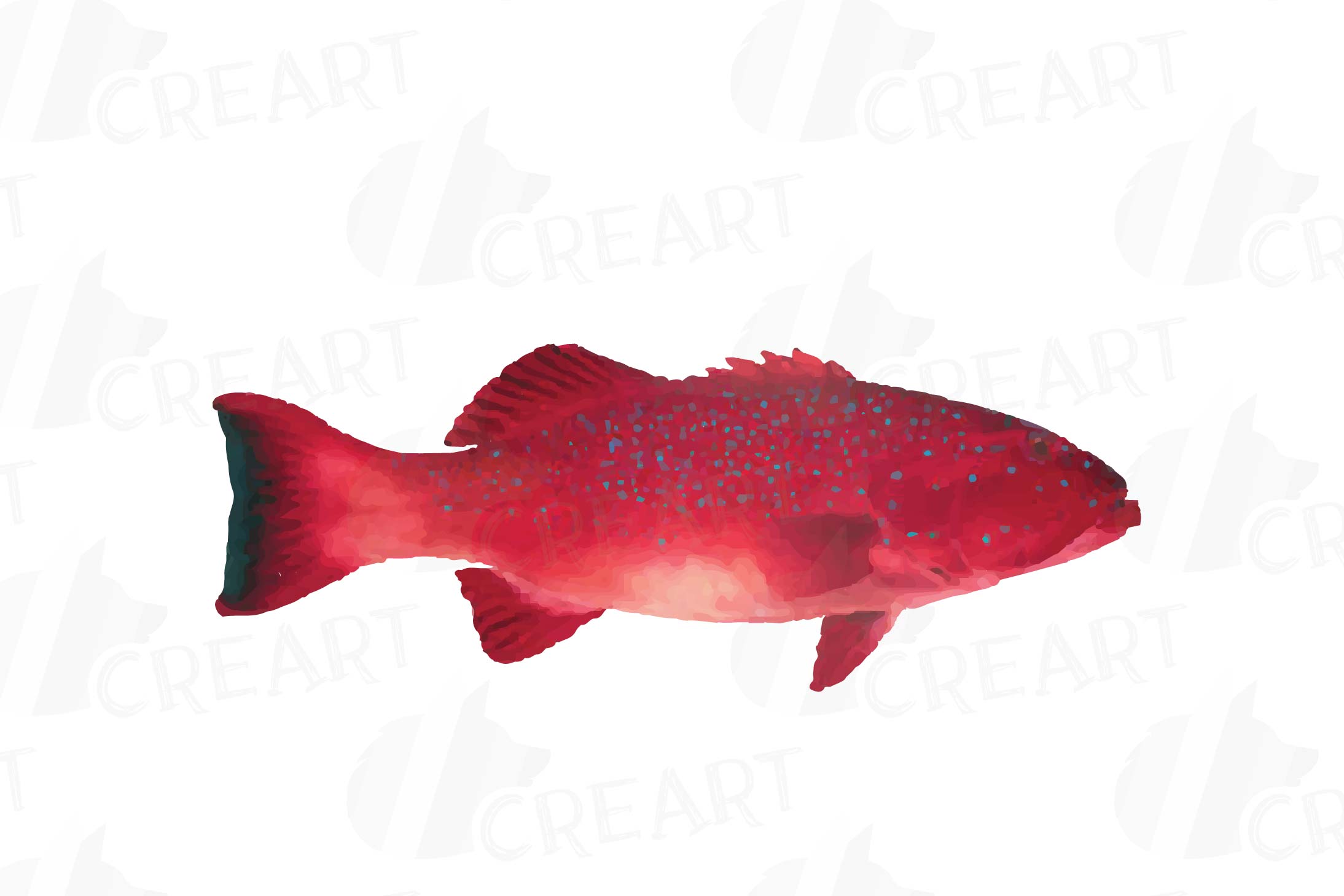 Watecolor Tropical Fish Clip Art, 12 tropical fish vectors (110054 ...