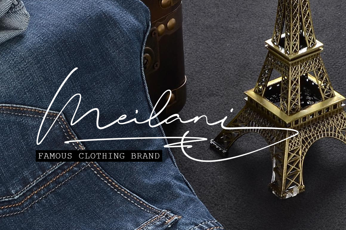 Daisy Signature font (61249) | Script | Font Bundles