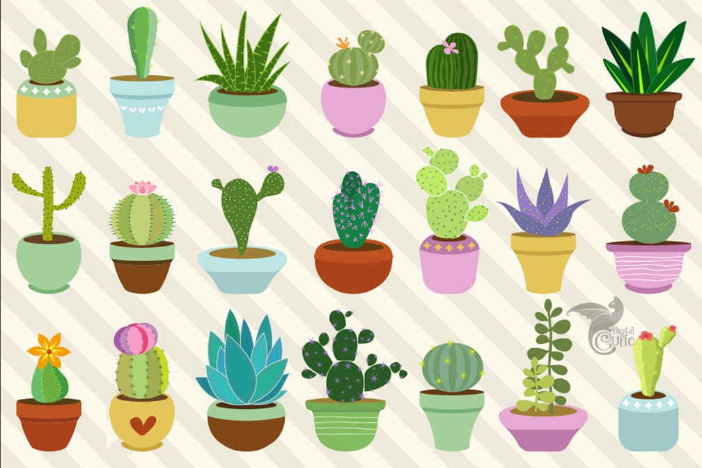 Cactus and Succulents Clipart (87163) | Illustrations | Design Bundles