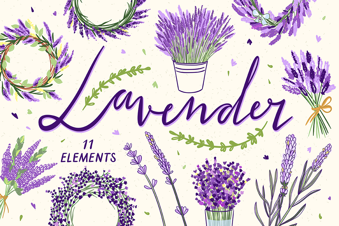 Lavender Illustrations