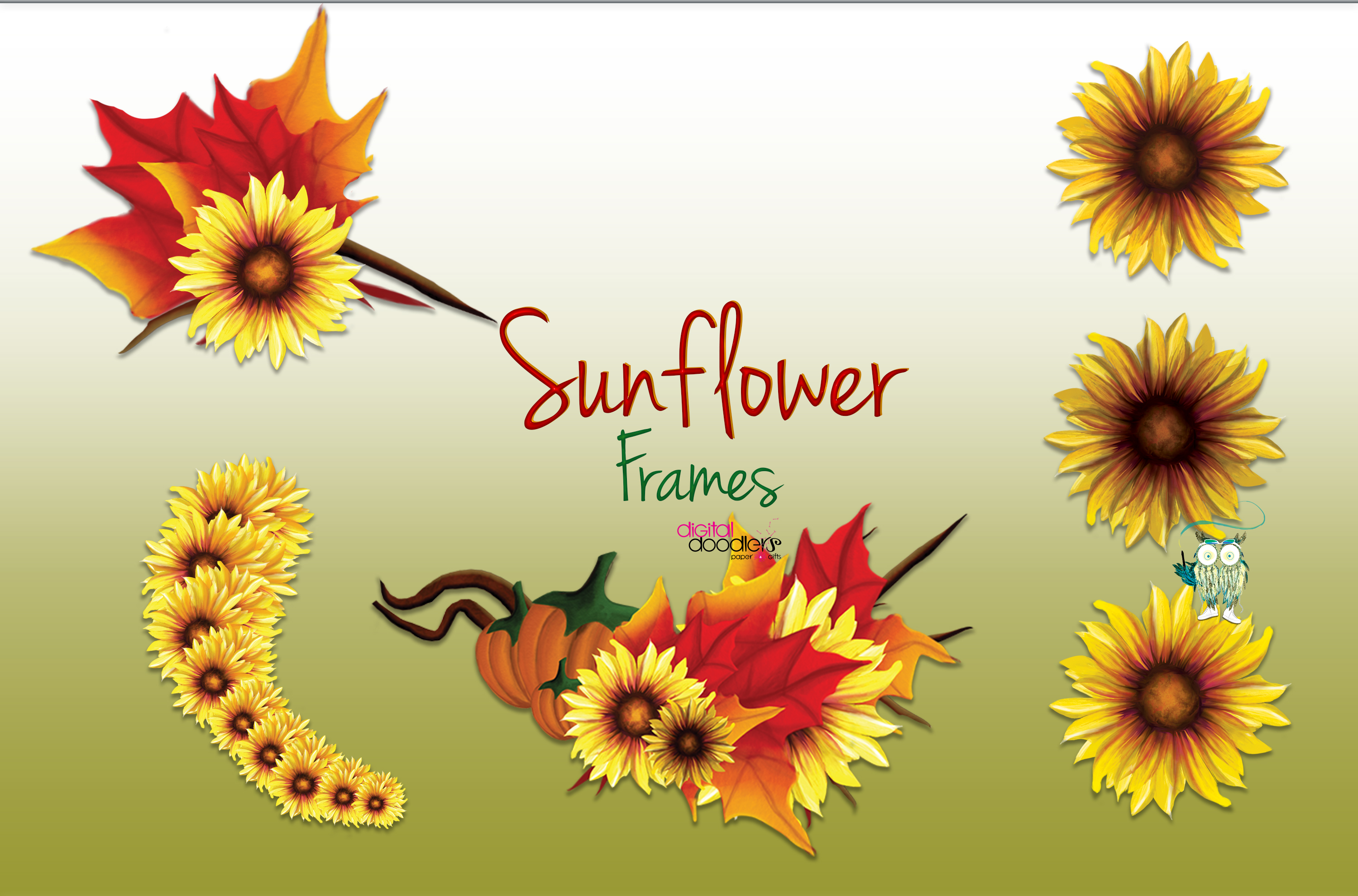 Sunflower Frames