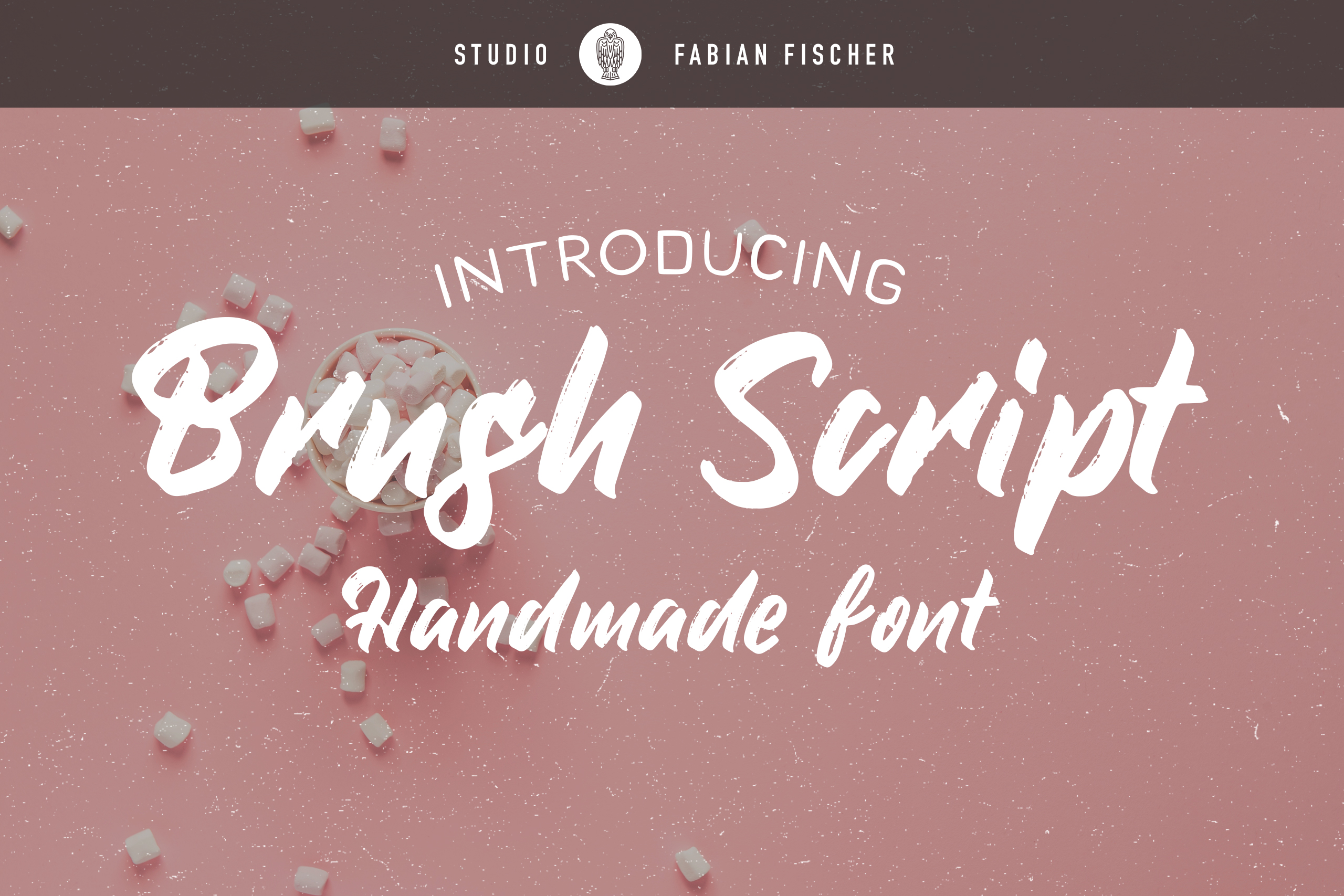 Brush Script Handmade Font 227952 Script Font Bundles
