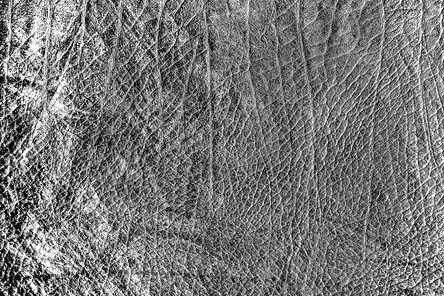 Leather Transparent Textures