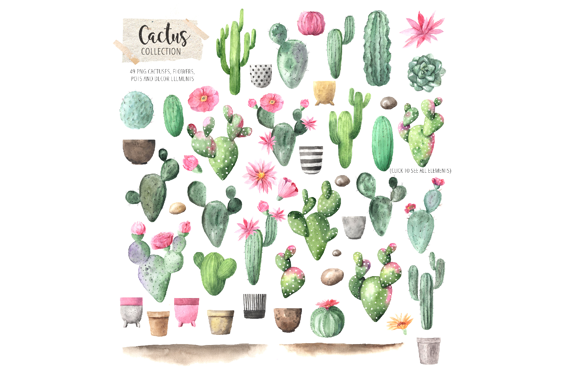 Watercolor Exotic Cactus Collection (208287) | Illustrations | Design ...