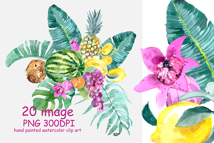 Tropical Watercolor Clipart