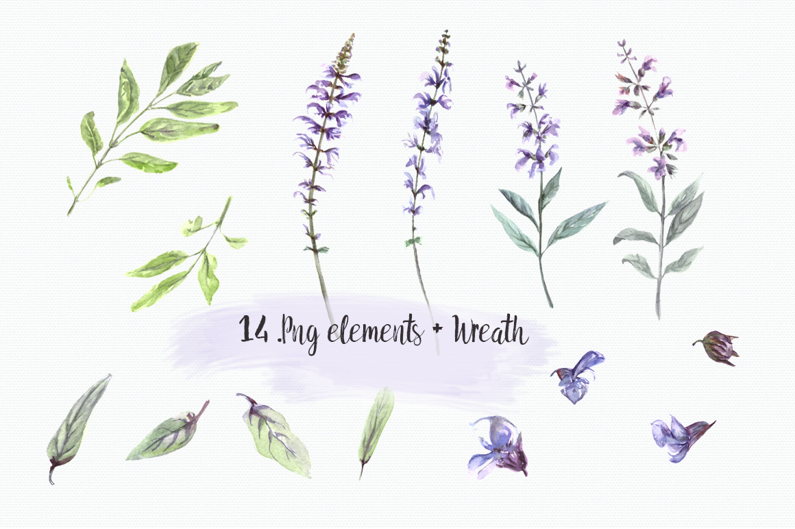 Watercolor Purple Sage Clip Art Set