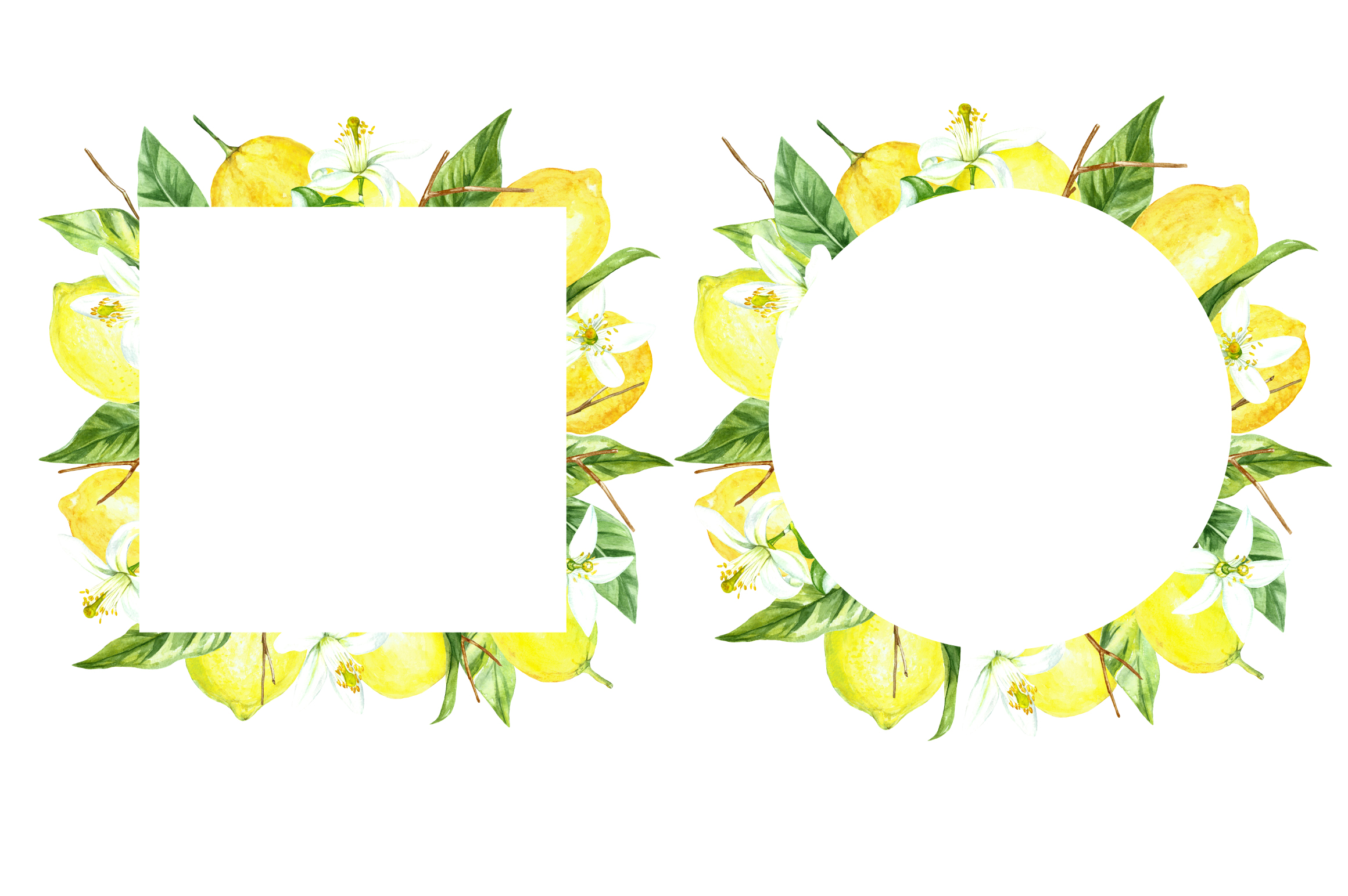 watercolor lemon set (52254) | Illustrations | Design Bundles