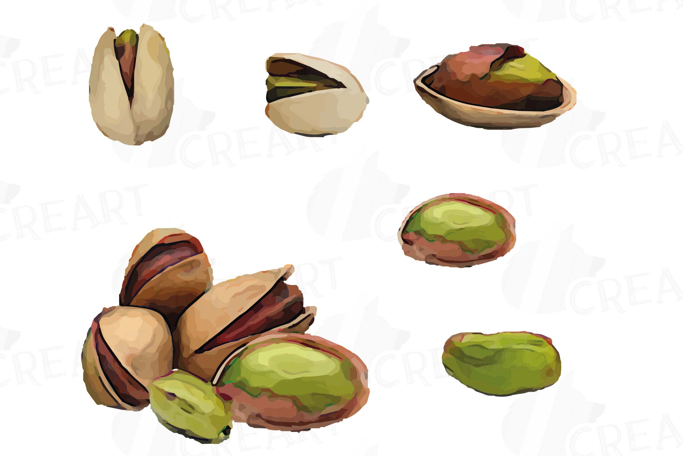 Nuts clip art pack, Watercolor nuts chart, food print (134672 ...