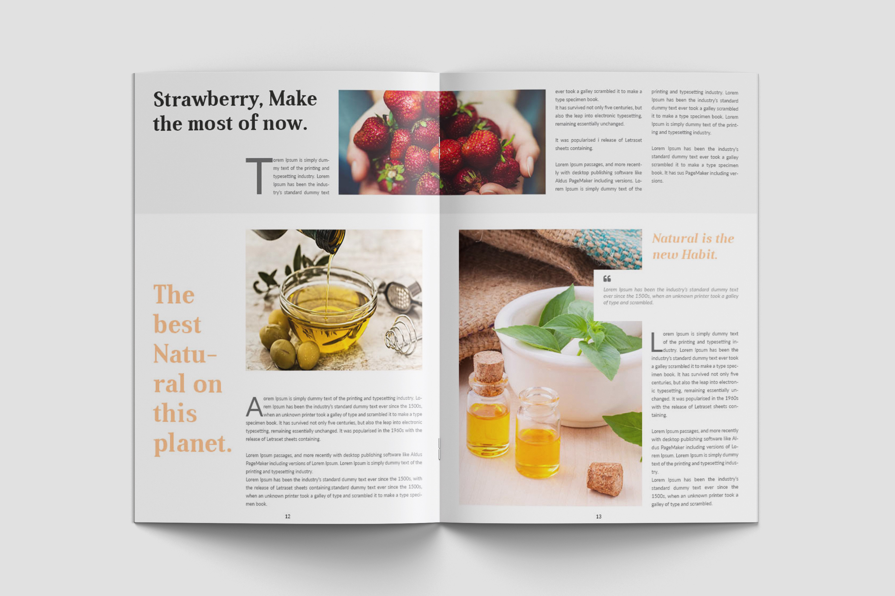 Food Magazine Template