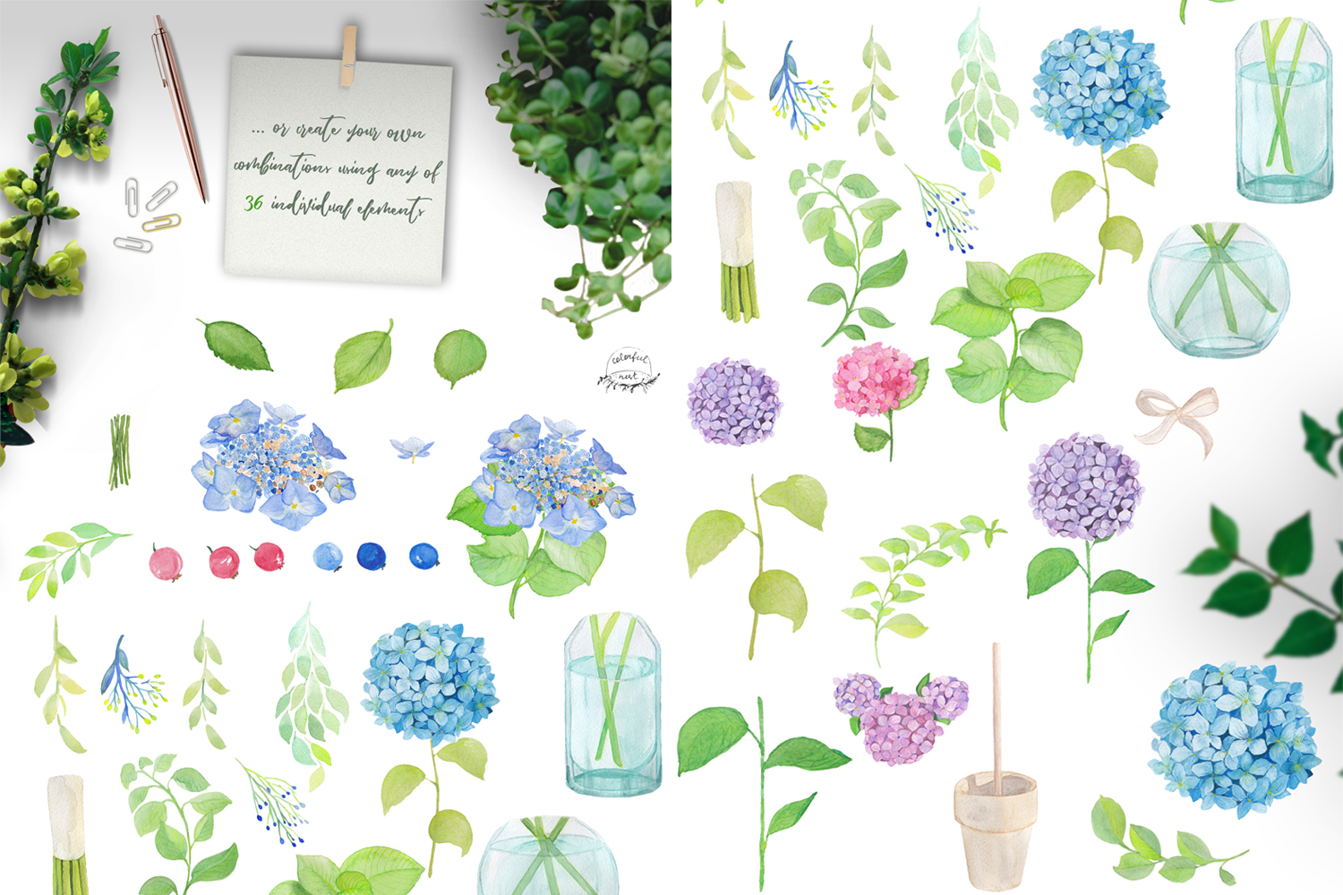 Watercolor Hydrangea Floral Clipart (274488) | Illustrations | Design ...