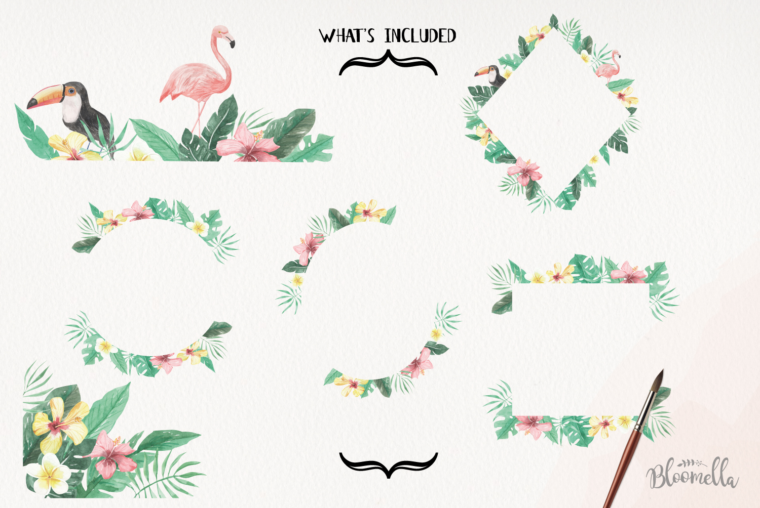 Tropical Watercolor 6 Frames Set Flowers Borders Exotic