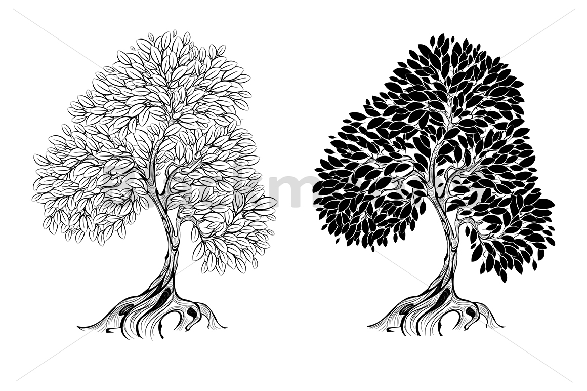 Two contour trees