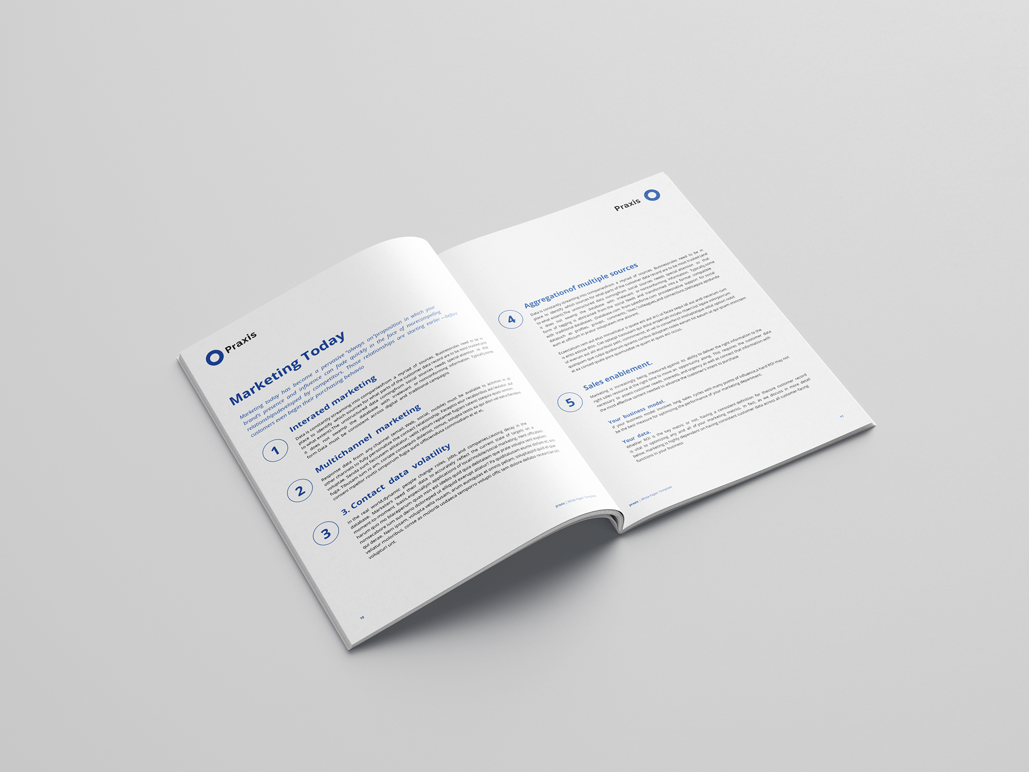 White Paper