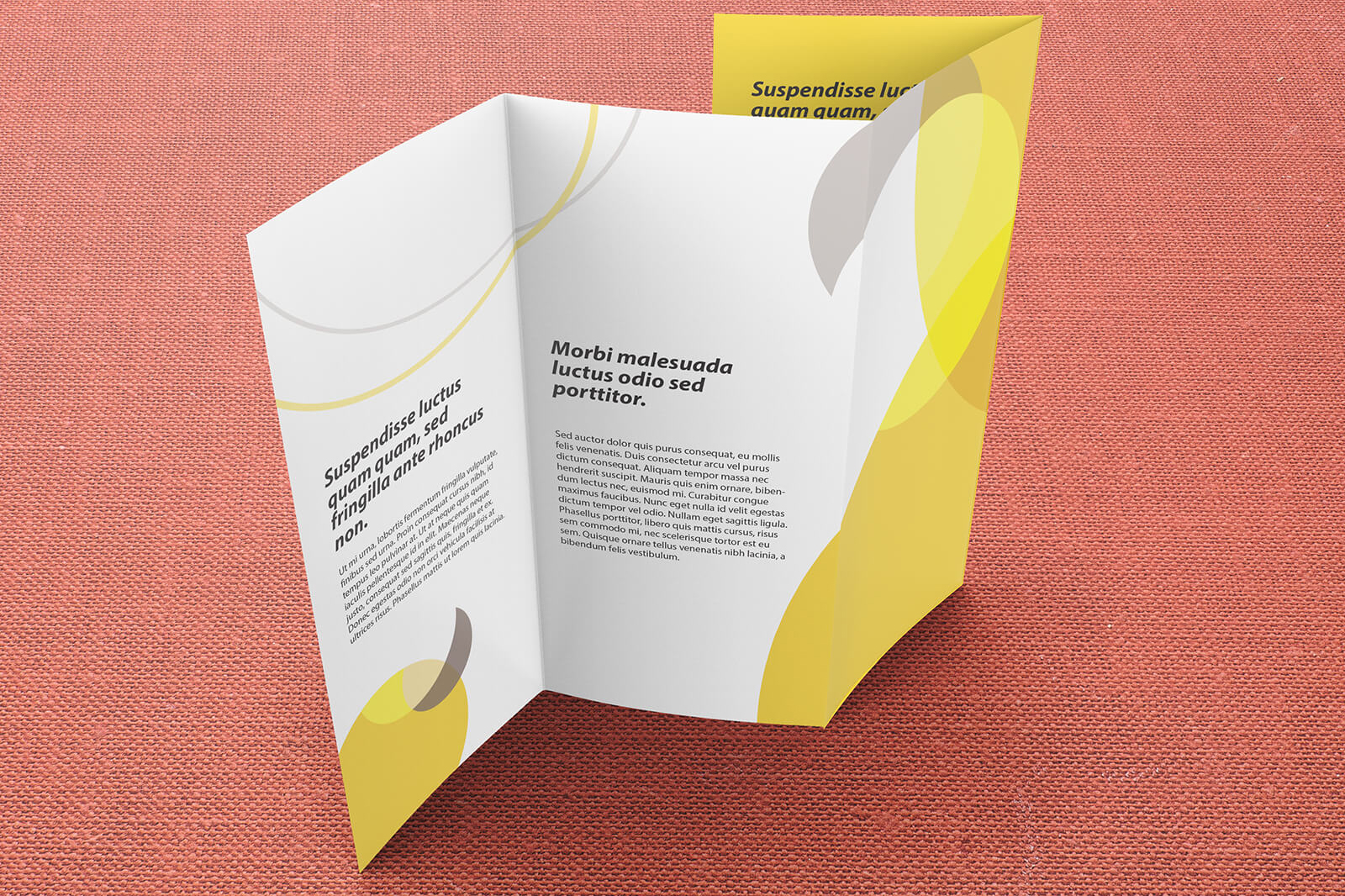 16×9 Double Parallel Fold Brochure Mockups