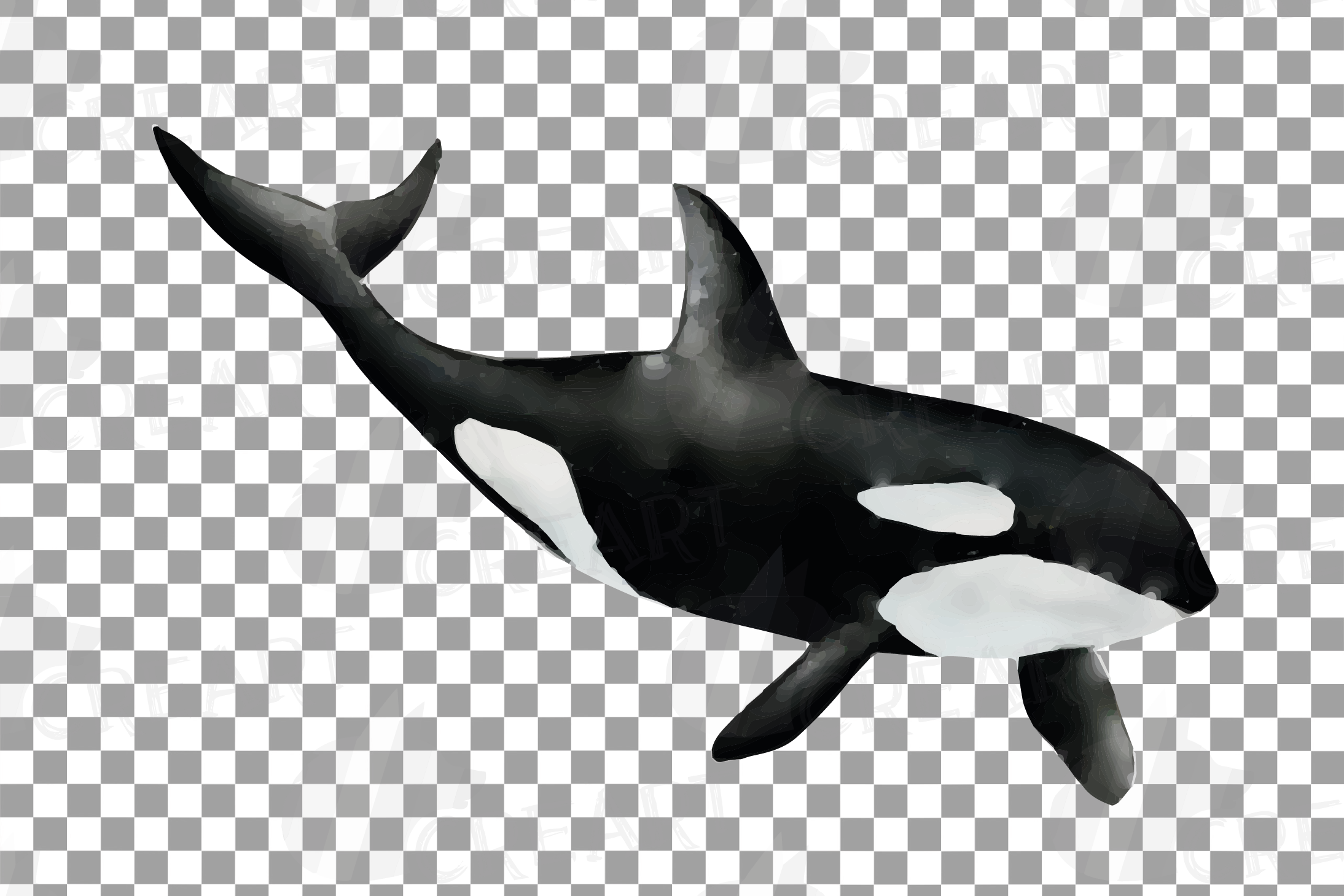 Orca family watercolor clip art pack, killer whales decor (217294 ...